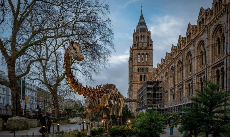 London: Natural History Museum Reserved Entry & Audio Tour - Summary & Final Thoughts