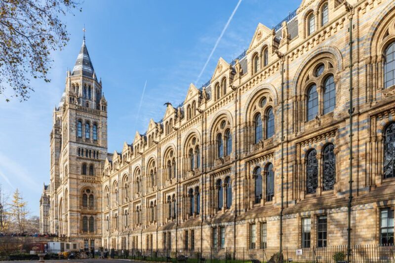 London: Natural History Museum Tour - The Experience at the Museum’s Casts and Specimen Displays