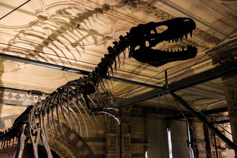 London: Natural History Museum Tour - Who Will Love This Tour?