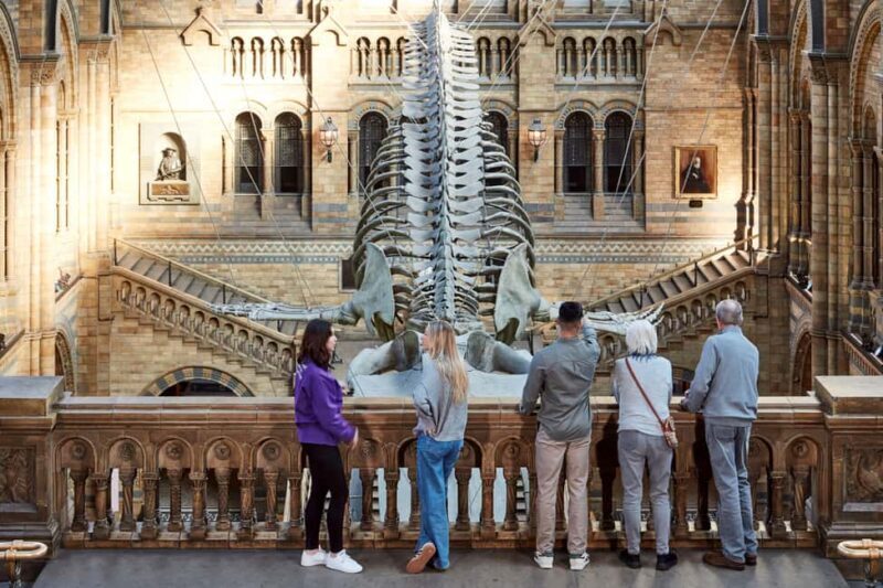 London: Official Natural History Museum Tour - Highlights - Who Is This Tour Best For?