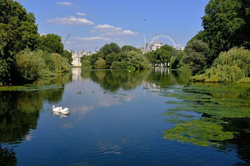 London: Private Full-Day Sightseeing Tour with a Local - The Practical Details