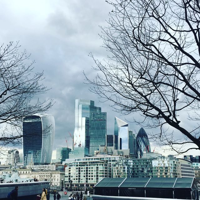 London: Private Intro Walk with a Local Guide - What Makes This Tour Stand Out?