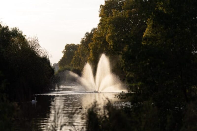 London: Private Royal Walking Tour with a Local Guide - A Detailed Look at the Experience