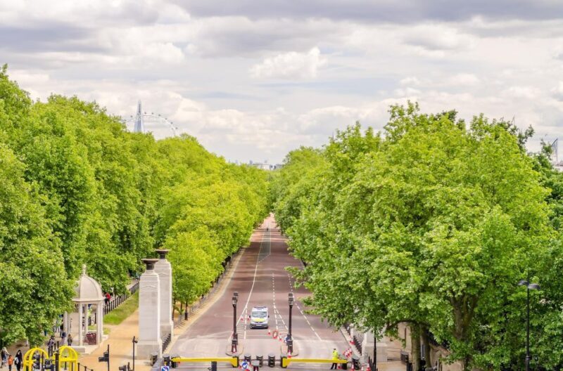 London: Royal Tour w/ timed entry to Buckingham Palace Entry - Practical Tips for Participants