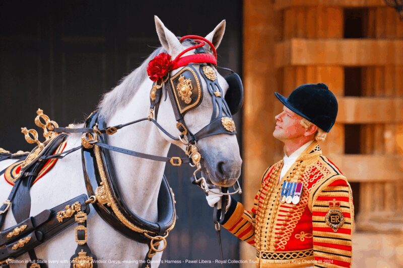 London: Royal Walking Tour with Guard Change & Royal Mews - Who Is This Tour Best For?