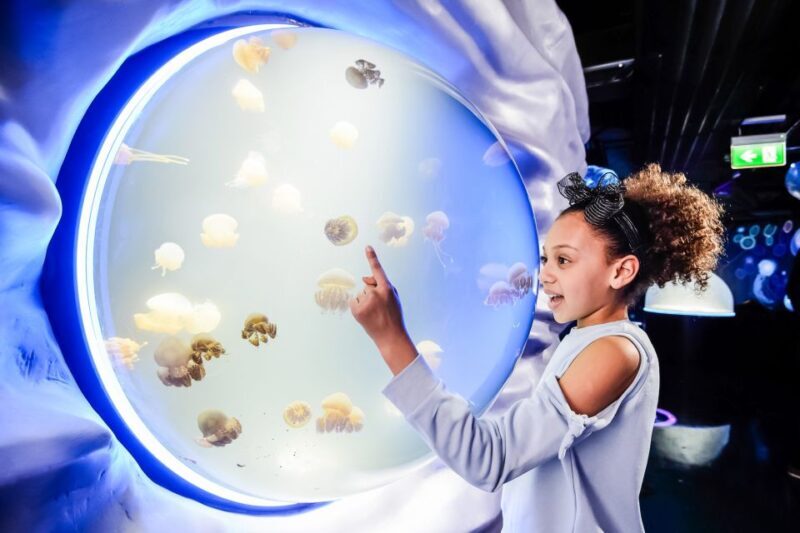 London: SEA LIFE Entry Ticket - An In-Depth Look at the Aquarium Experience