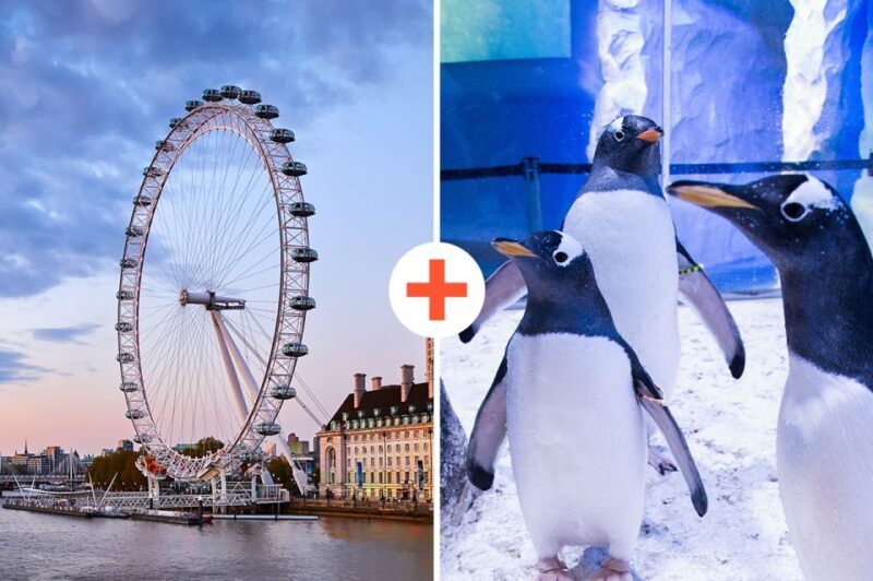 London: SEA LIFE & London Eye Combo Ticket - Key Points