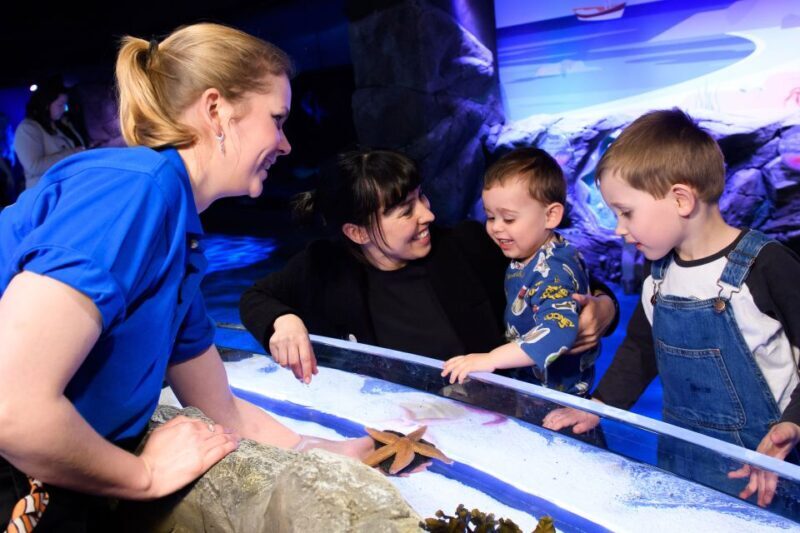 London: SEA LIFE & London Eye Combo Ticket - Who Will Love This Experience?