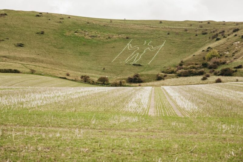 London: South Downs White Cliffs Day Trip with Train Tickets - An In-Depth Look at the Tour Experience