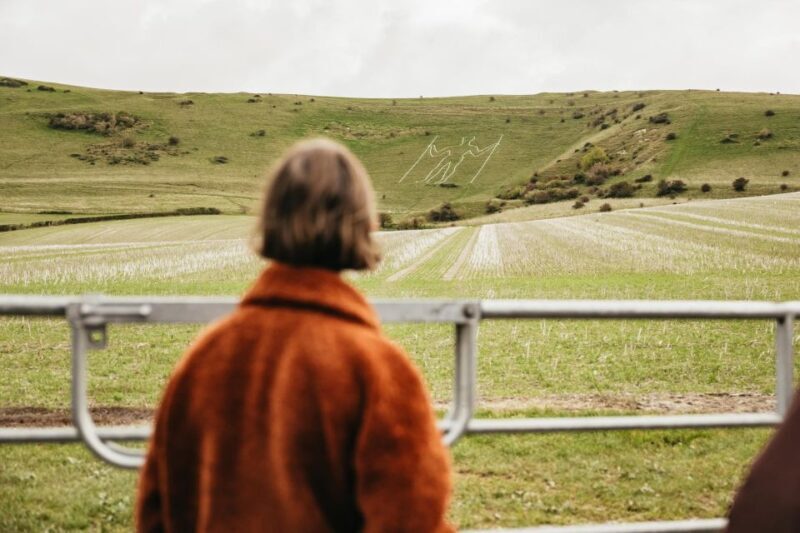 London: South Downs White Cliffs Day Trip with Train Tickets - The Sum Up: Who Should Consider This Tour?