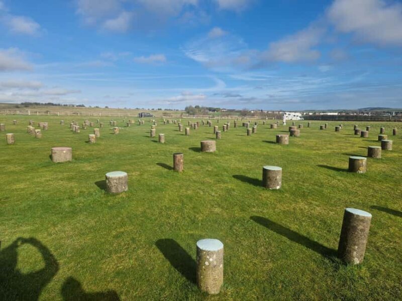 London: Stonehenge and Woodhenge Private Black Cab Tour - Key Points