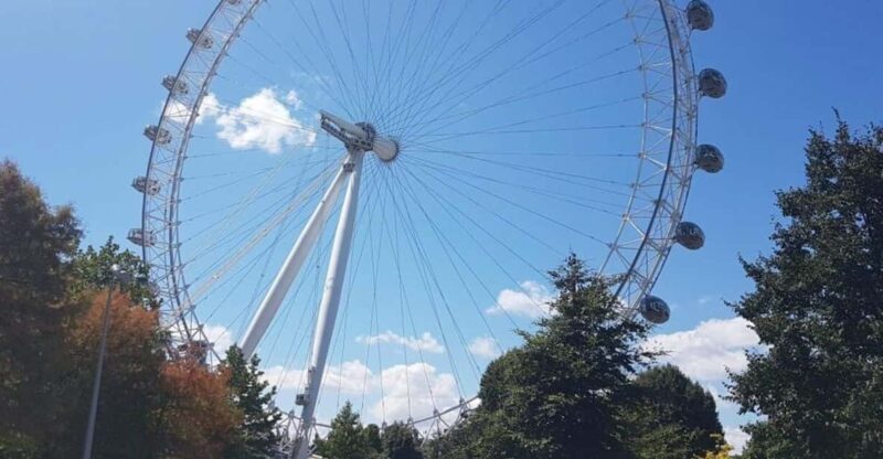 London: Taxi 50+ Sights Private Tour & London Eye Ride - What Travelers Say