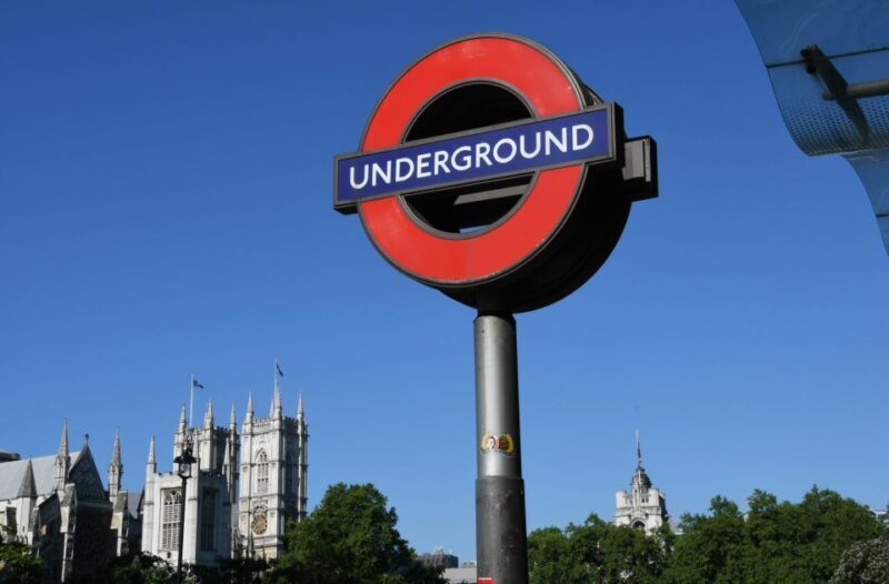 London: Thames River Cruise and 3-Hour Westminster Tour - The Value and Practicalities