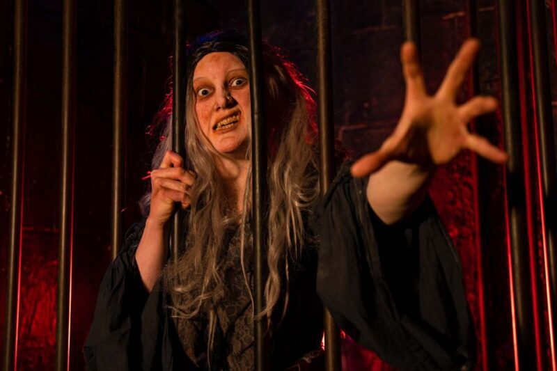 London: The London Dungeon and London Eye Combo Ticket - What This Tour Offers: A Deep Dive