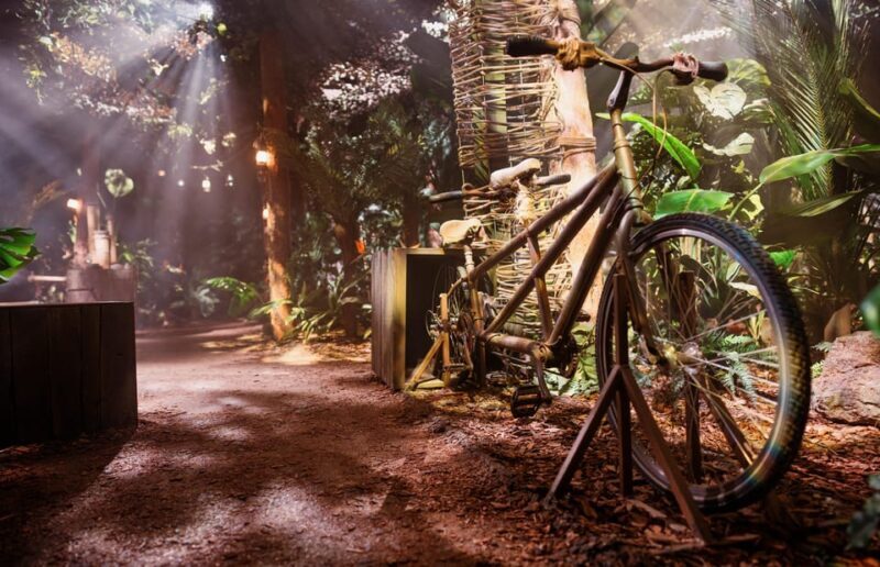 London: The Paddington Bear Experience - Why It Works: The Unique Charm of the Experience