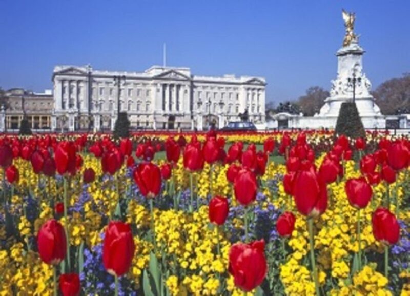 London: Westminster Tour and Windsor Castle Entry Ticket - The Practicalities: What to Expect