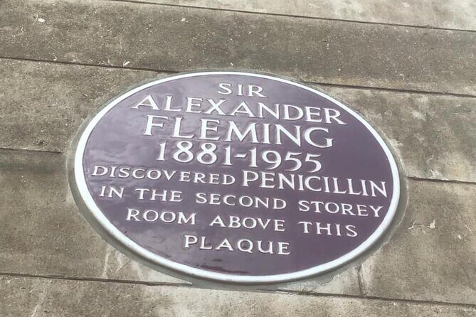 Londons Millennia of Medical Progress Private Historical Tour - Detailed Breakdown of the Itinerary