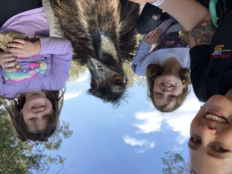 Lone Pine and Brisbane City Highlights - FAQ