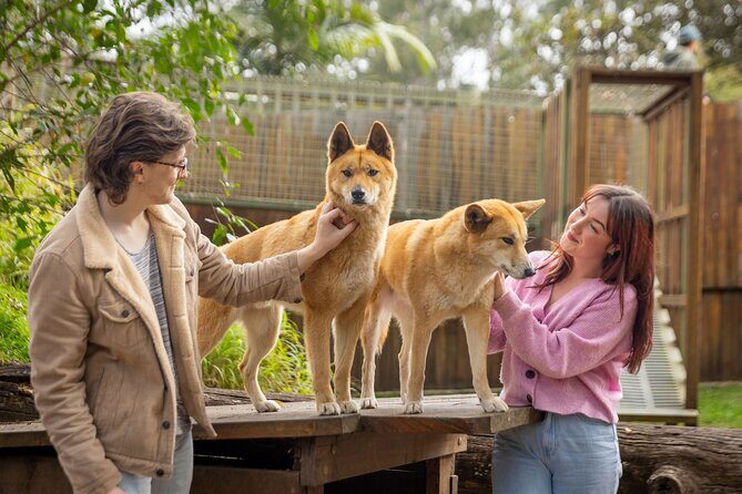 Lone Pine Koala Sanctuary Day Pass - Exploring the Sanctuary: Detailed Insights