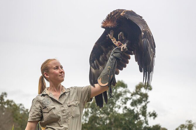 Lone Pine Koala Sanctuary Day Pass - FAQ