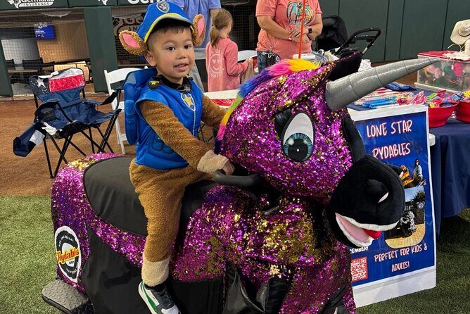 Lone Star Rydables Family Fun Tour in Arlington - The Ride and Itinerary: What to Expect