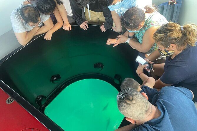 Long Beach Glass Bottom Boat Eco-Tour - Tour Breakdown: What to Expect