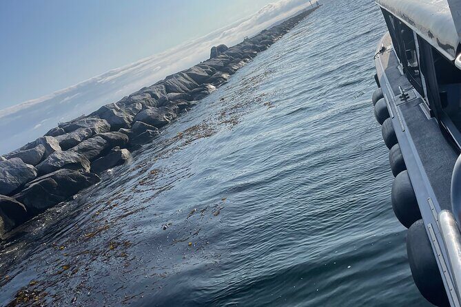 Long Beach Glass Bottom Boat Eco-Tour - The Experience from Multiple Perspectives