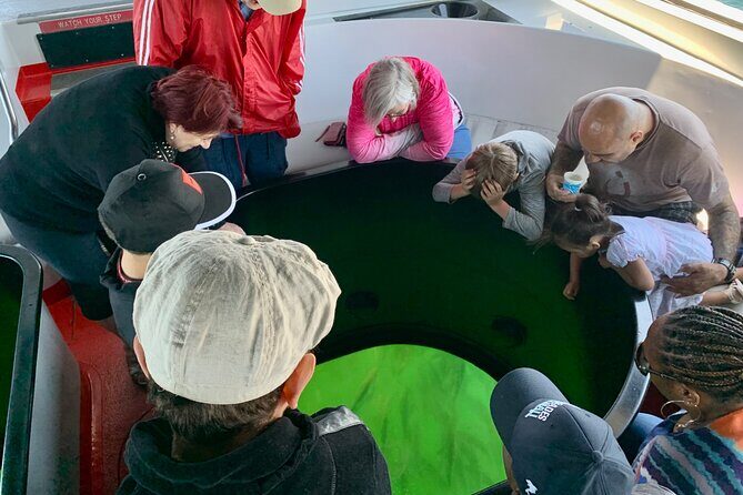 Long Beach Glass Bottom Boat Eco-Tour - Final Thoughts: Is It Worth It?