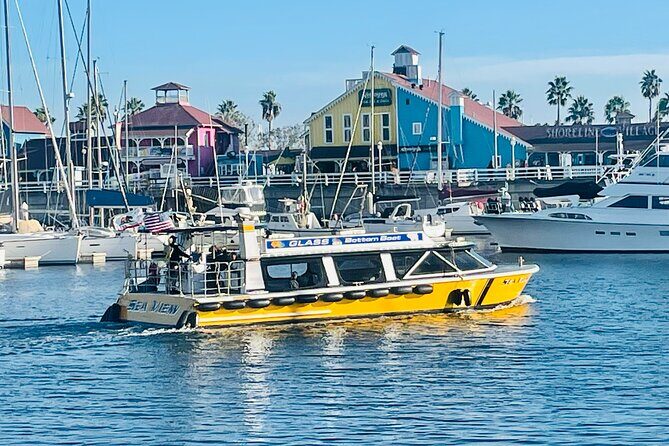 Long Beach Glass Bottom Boat Eco-Tour - The Bottom Line: Who Will Love This Tour?
