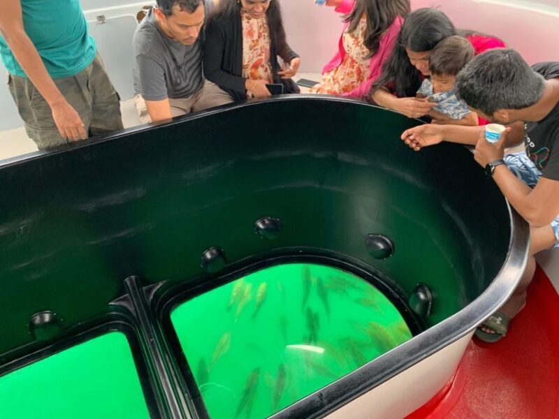 Long Beach: Glass Bottom Boat Harbor Ecotour - FAQ