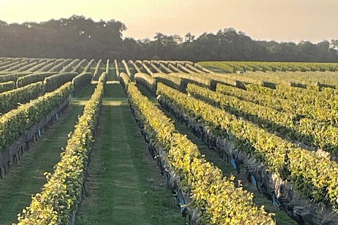 Long Island Wine Tour North Fork Sights, Bites & Flights Full-Day - The Value Proposition and Who It’s For