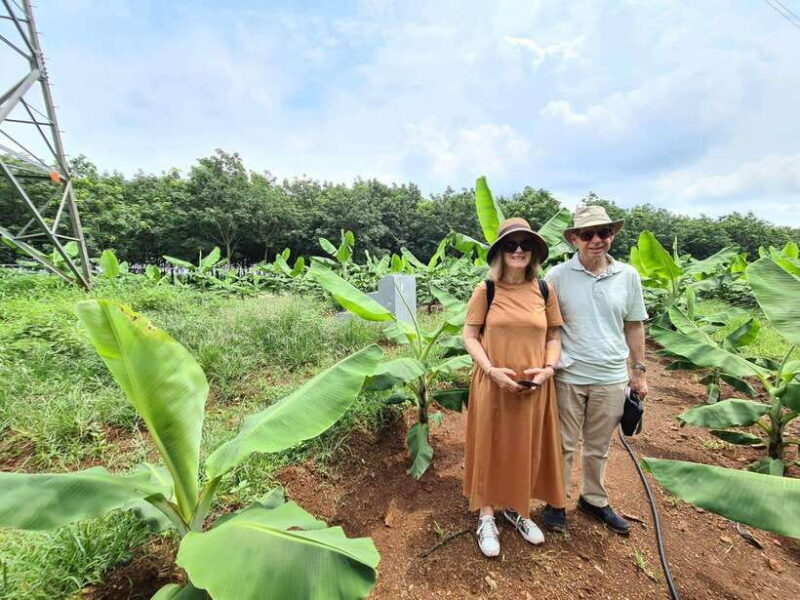 Long Tan Memorial, Nui Dat Base, Vung Tau Beach Private Tour - Key Points