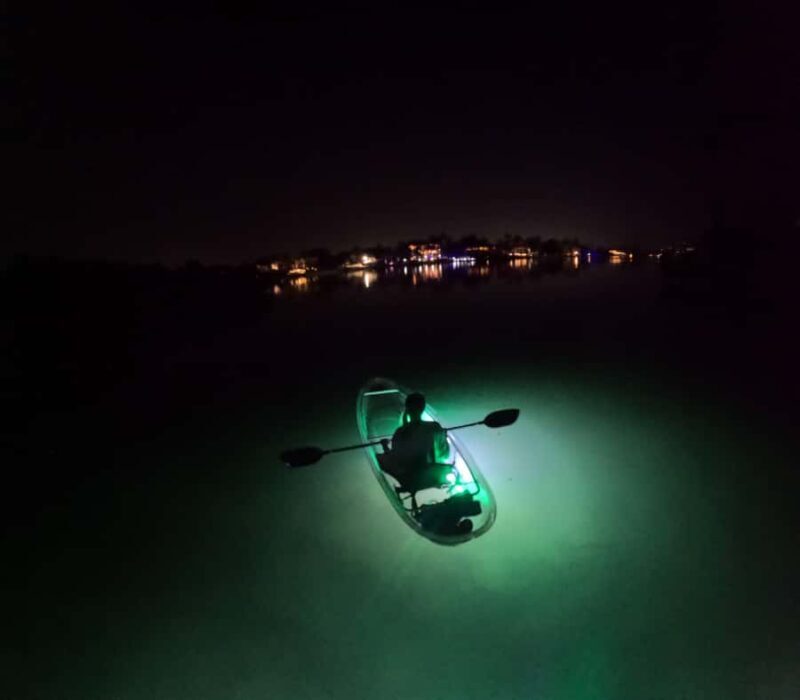 Longboat Key Clear Kayak LED Illuminated Night Tour Sarasota - What to Expect from the Night Kayak Tour
