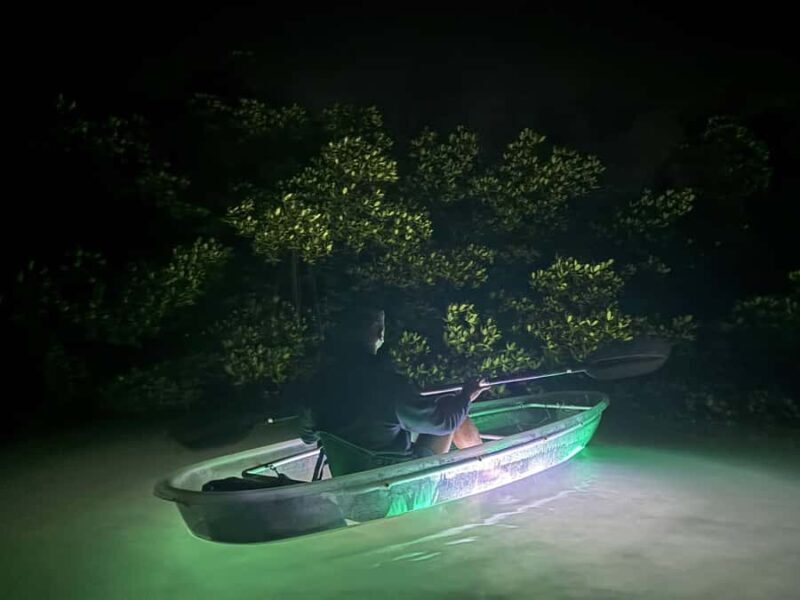 Longboat Key Clear Kayak LED Illuminated Night Tour Sarasota - What We Love About This Tour