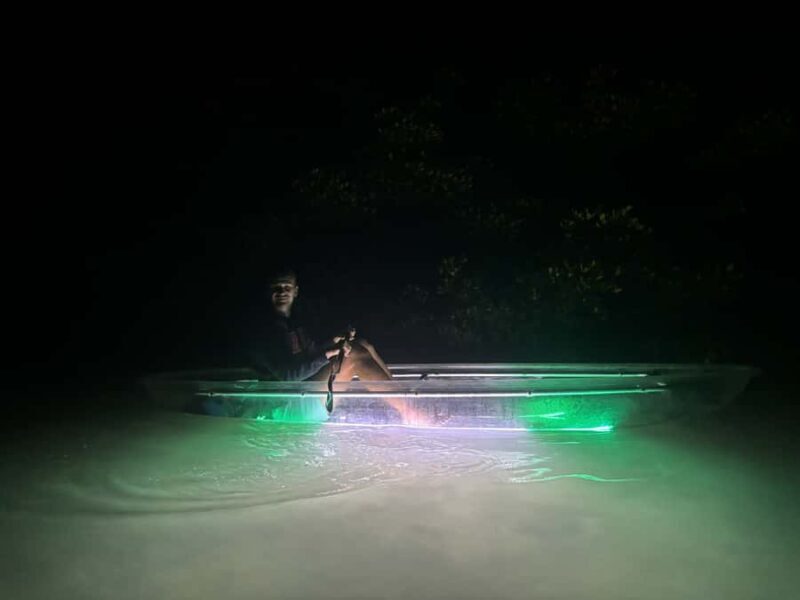 Longboat Key Clear Kayak LED Illuminated Night Tour Sarasota - FAQs