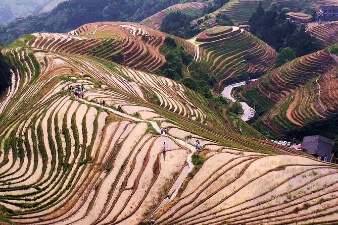Longji Rice Terrace Private Day Tour from Yangshuo - Final Thoughts