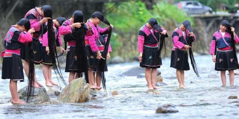 Longji Rice Terraces: 1-Day Private Tour - Key Points