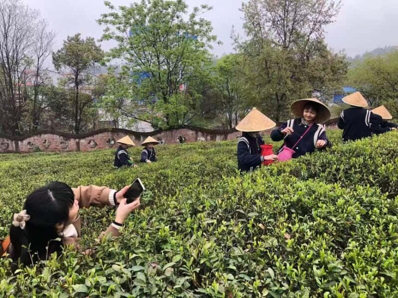 Longji Rice Terraces: 1-Day Private Tour - An Introduction to the Tour Experience