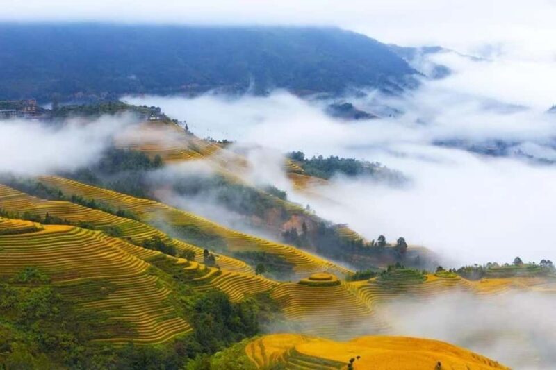 Longji Rice Terraces: 1-Day Private Tour - Transportation, Timing, and Group Dynamics