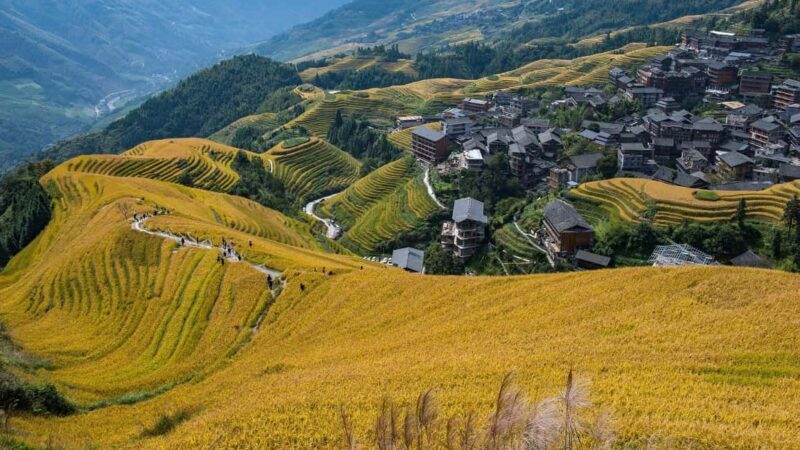 Longji Rice Terraces: 1-Day Private Tour - Conclusions: Who Should Consider This Tour?