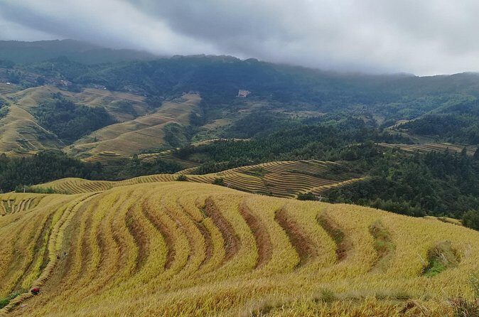 Longji Rice Terraces All In One Dazhai and Pingan Villages Tour - FAQ