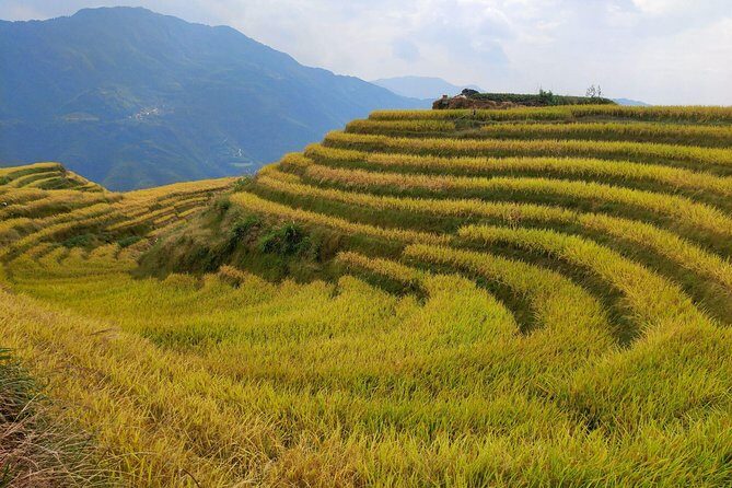Longji Rice Terraces Day Tour from Guilin hotel - A Closer Look at the Itinerary
