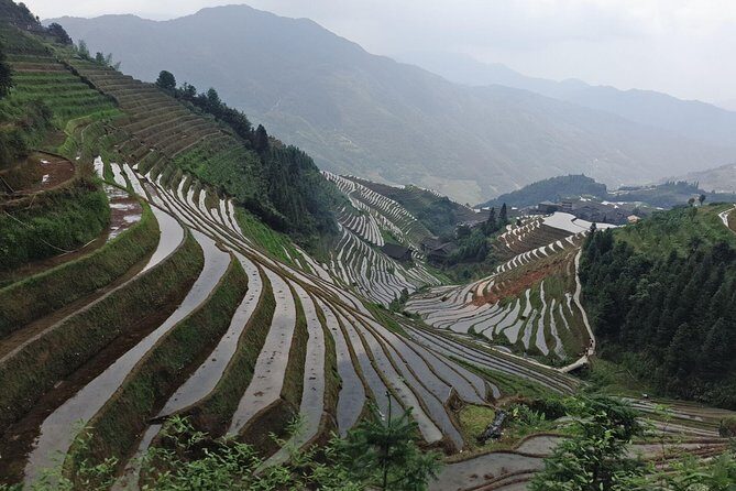 Longji Rice Terraces Day Tour from Xingping hotel - Key Points