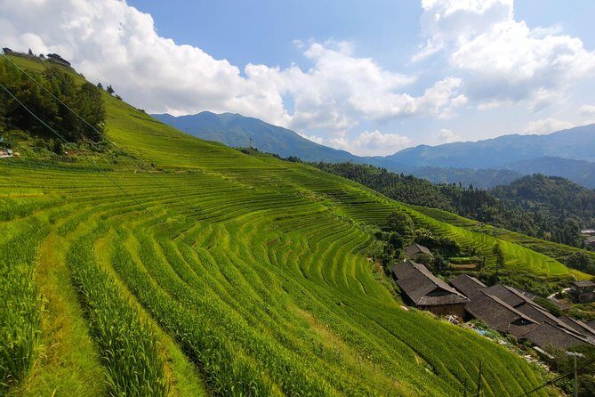 Longji Rice Terraces Day Tour from Xingping hotel - What About Dazhai Village?