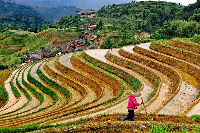 Longji Rice Terraces Day Tour with the Ping'an and Dazhai Village - What to Expect from the Longji Rice Terraces Day Tour