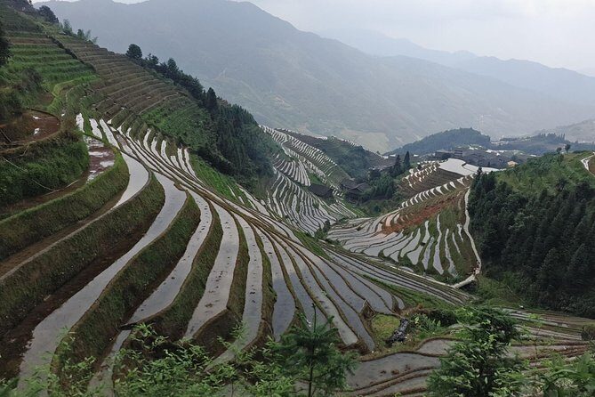 Longji Rice Terraces Day Tour with the Ping'an and Dazhai Village - What’s Included and What’s Not