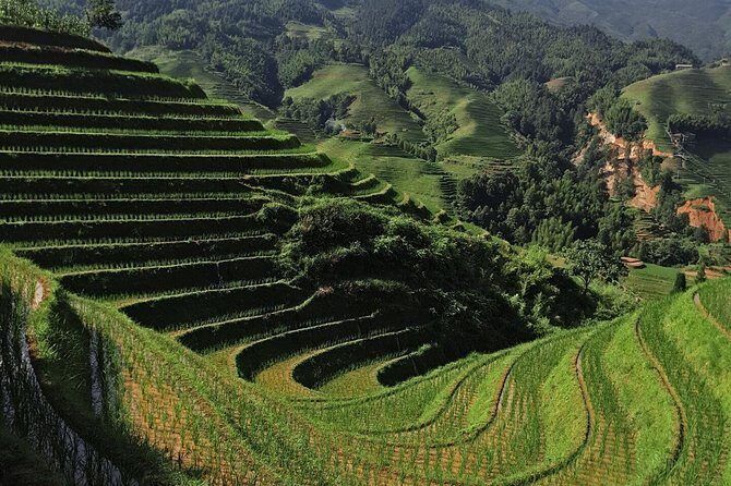 Longji Rice Terraces Day Tour with the Ping'an and Dazhai Village - Authentic Vibe and Practical Tips