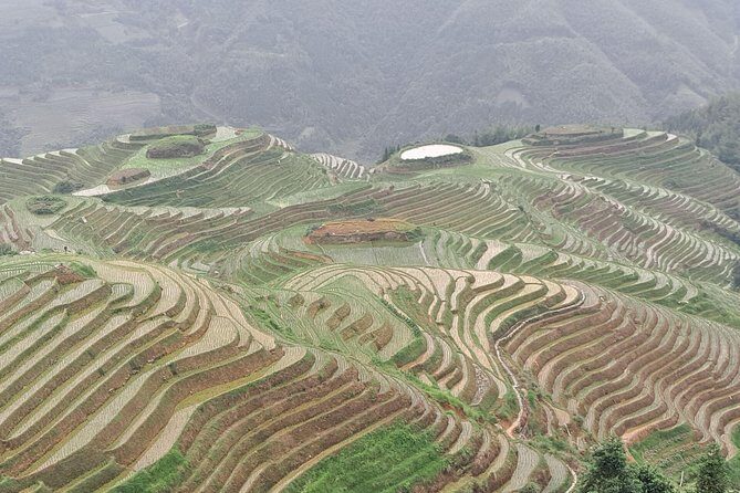Longji Rice Terraces Day Tour with the Ping'an and Dazhai Village - FAQs