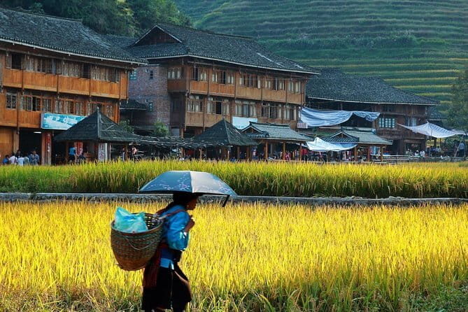 Longji Rice Terraces Field Private Full Day Tour - An In-Depth Look at the Longji Rice Terraces Private Full-Day Tour