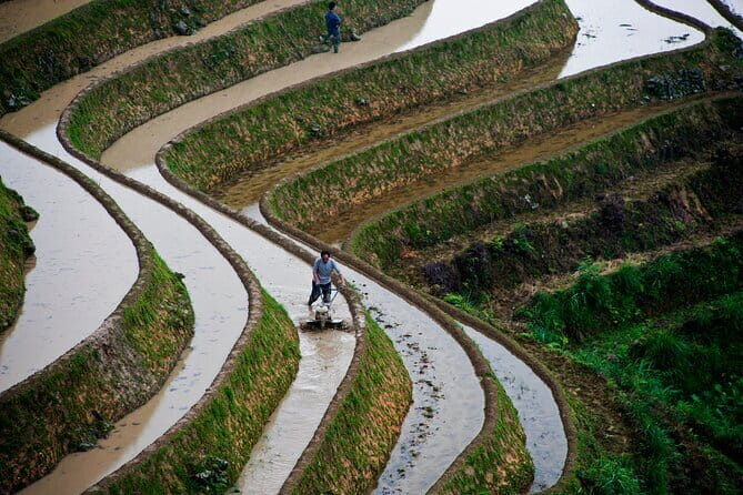 Longji Rice Terraces Field Private Full Day Tour - Who Will Benefit Most From This Tour?